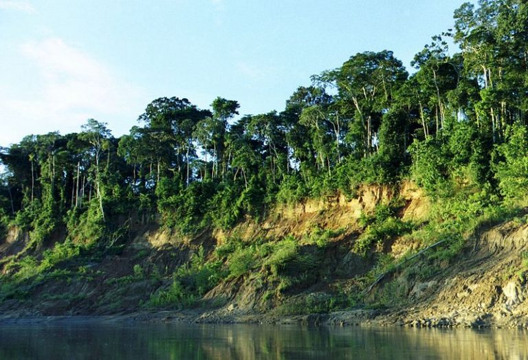 Parc national de Manu : Visiter le parc national de Manu au Pérou ...