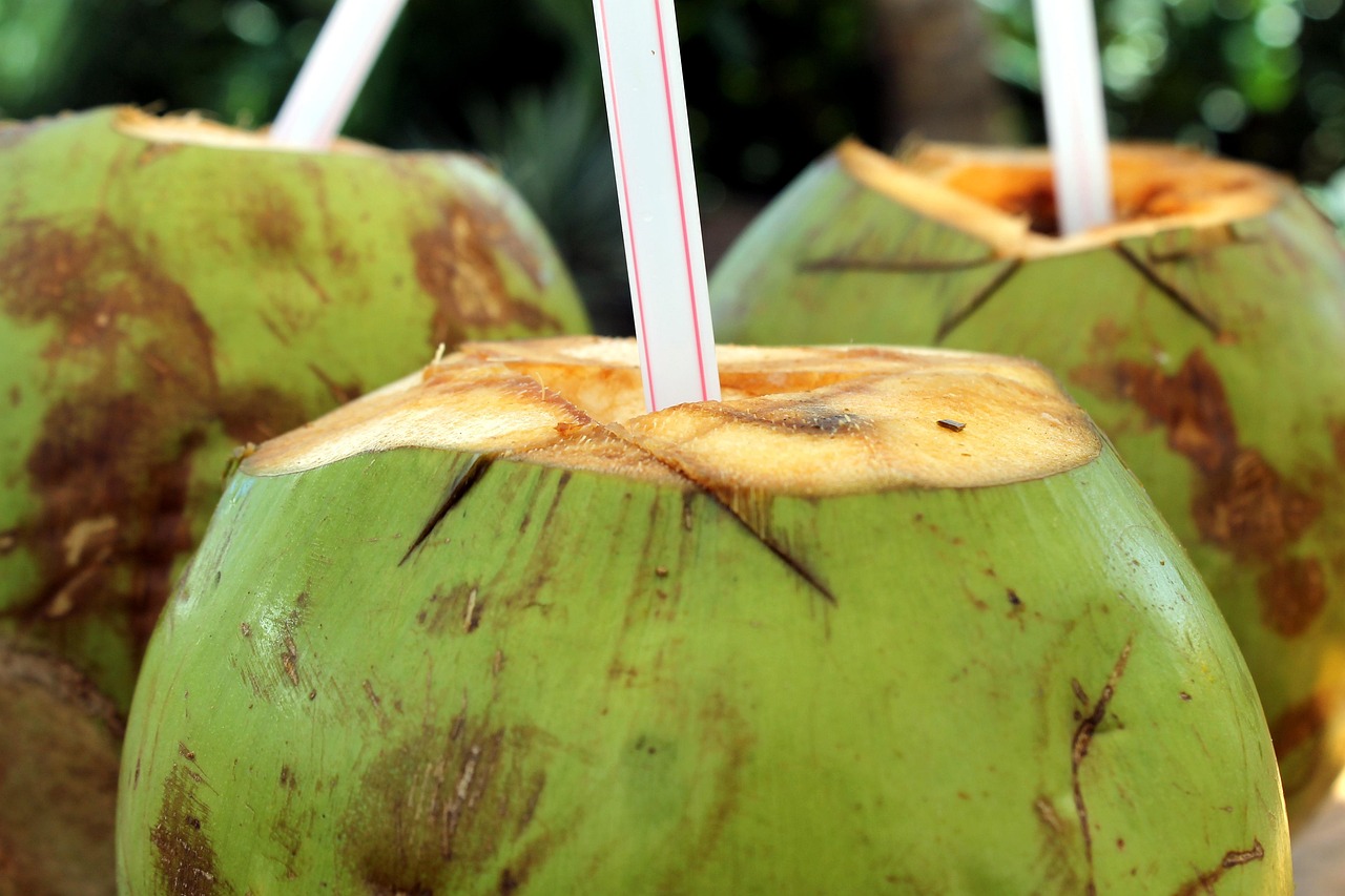 Les boissons dans les Caraïbes - Blog de Voyage en Amérique du sud